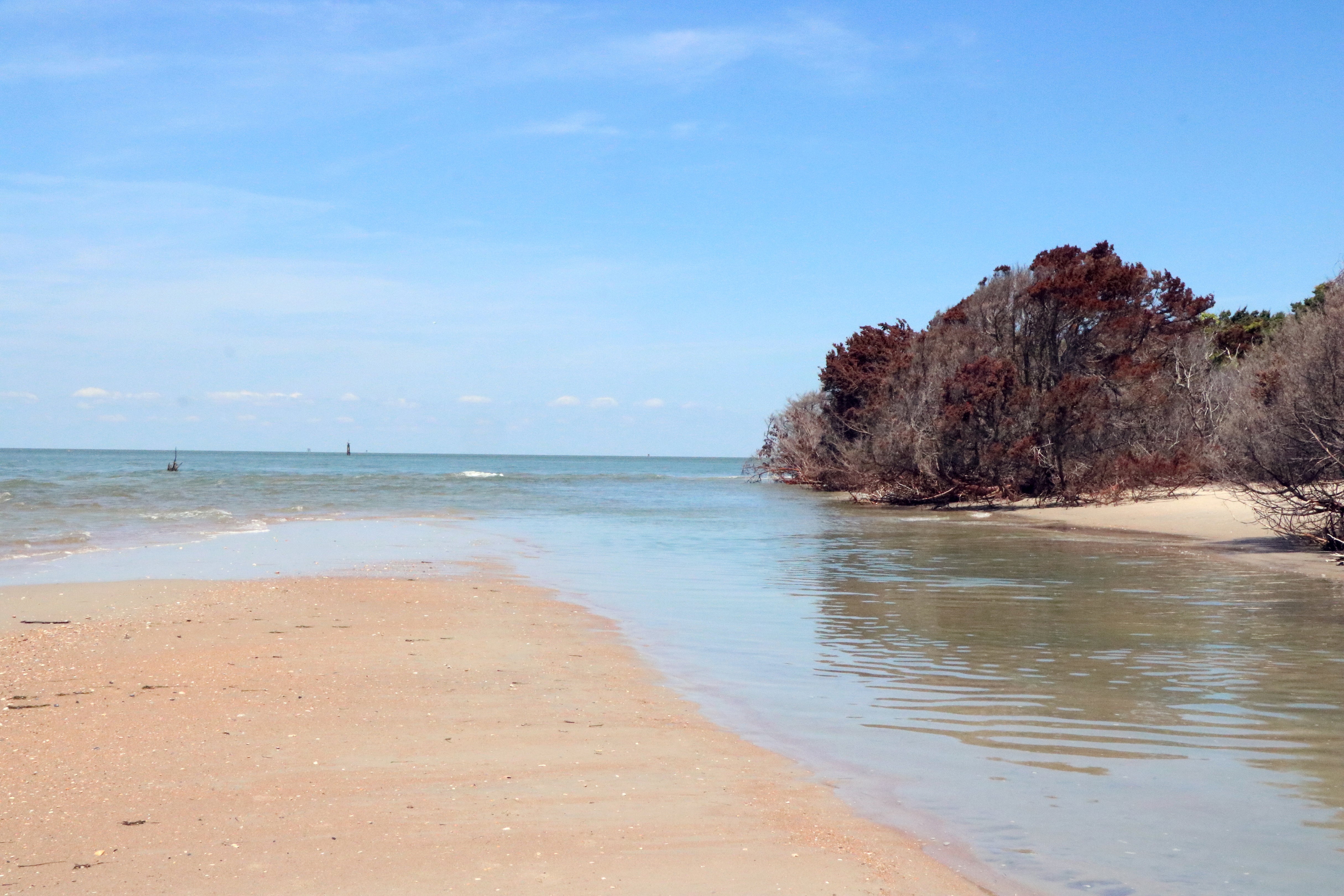 Sandbar – Walking In Nature