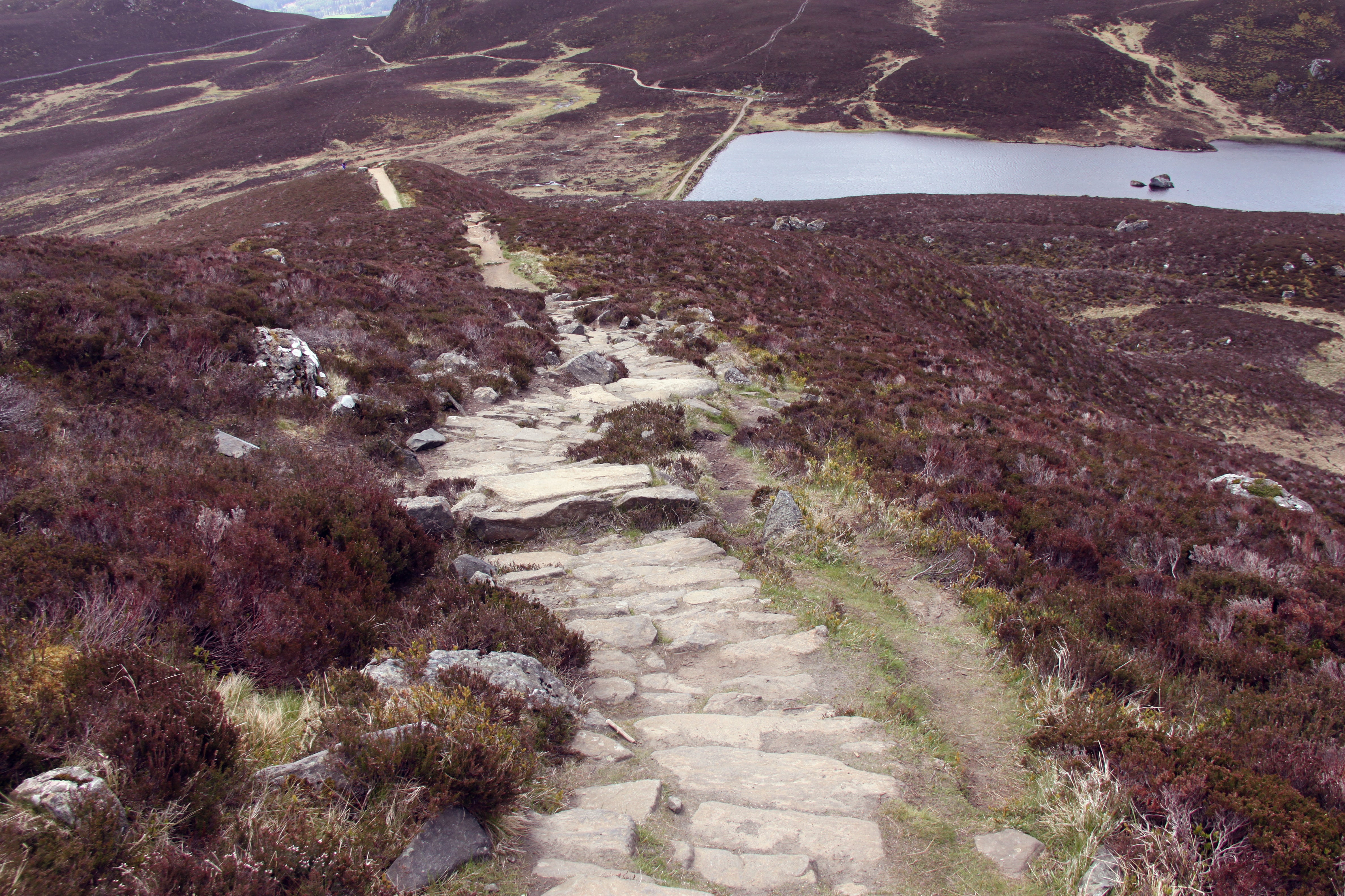 Getting Hurt on a Hike – Walking In Nature